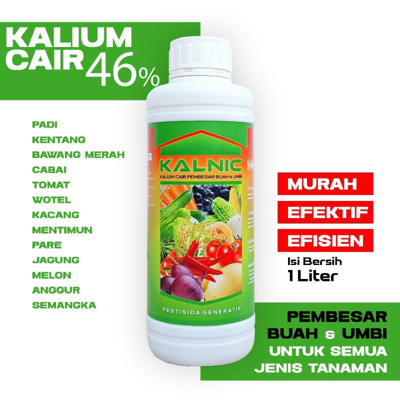 Jual KALNIC Kalium Cair Mempercepat Pembesar Buah dan Umbi isi 1L Untuk ...