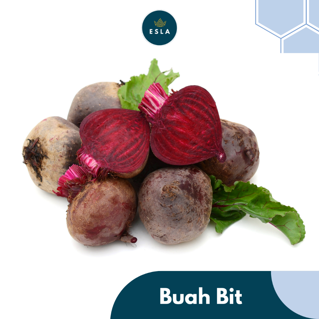 Jual BUAH BIT I Buah Fresh dan Premium - ESLA | Shopee Indonesia