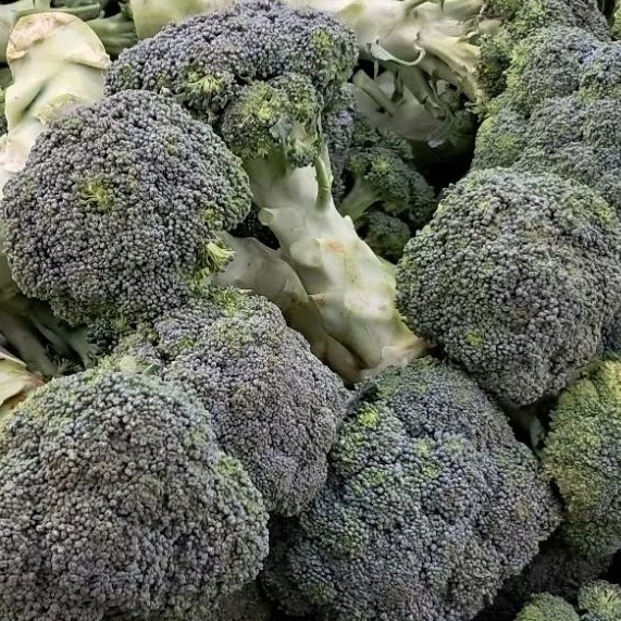 Jual Brokoli segar 500 gr, 1 kg | Shopee Indonesia