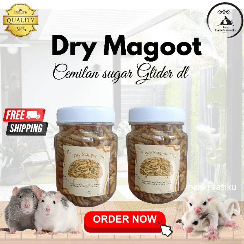 Jual snack dry maggot sugar glider, cemilan sugar glider | Shopee Indonesia