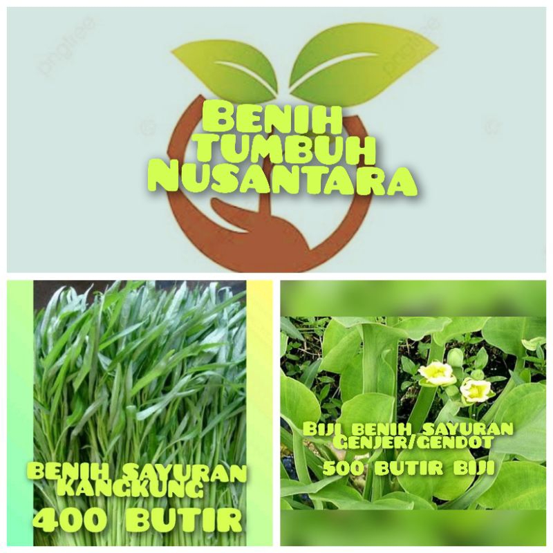 Jual BENIH SAYURAN KANGKUNG, BENIH SAYURAN GENJER/GENDOT | Shopee Indonesia