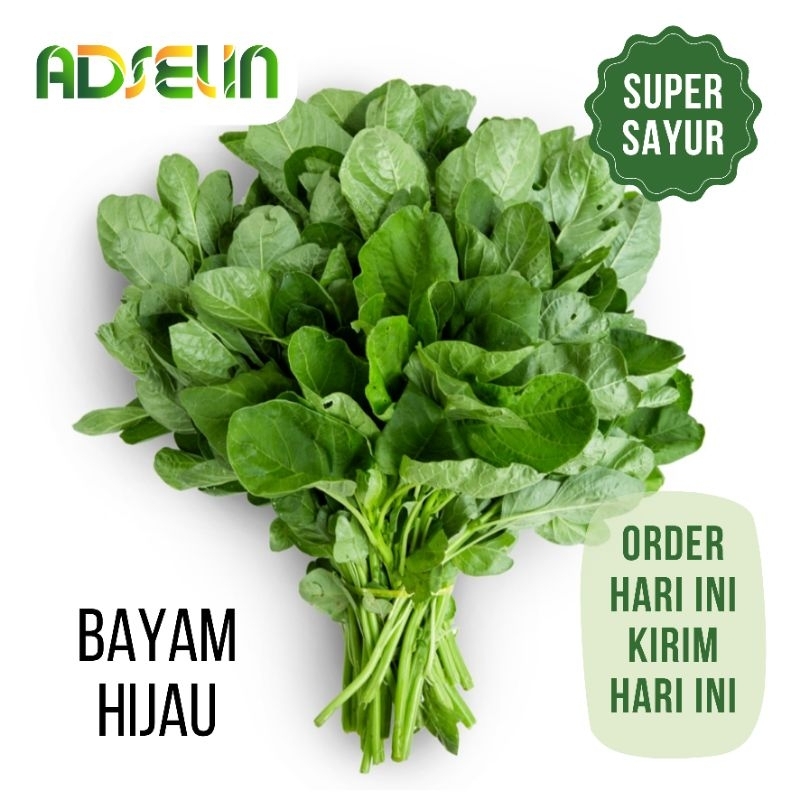 Jual Sayur Bayam Hijau Bayem 1 Ikat Sayuan Segar Adselin | Shopee Indonesia
