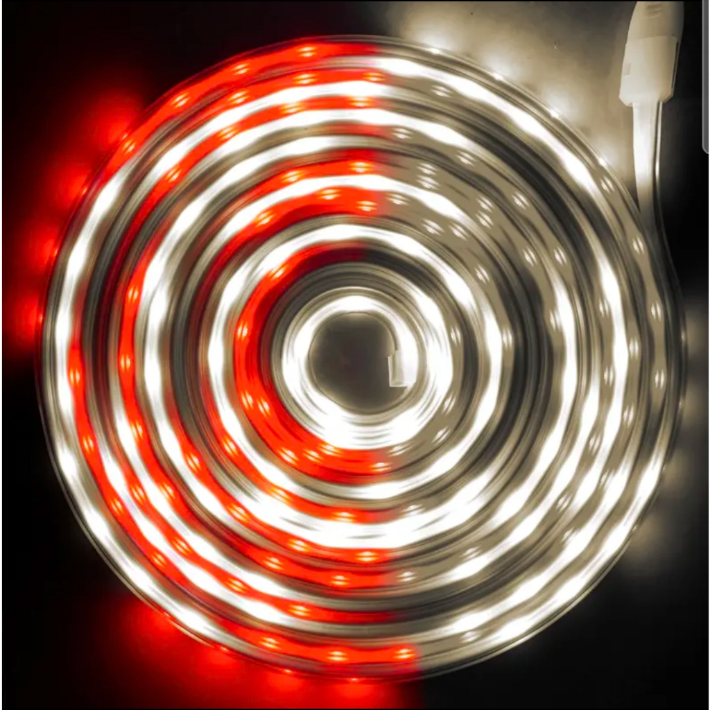 Jual Lampu LED Strip Merah Putih Agustusan 7M 220V | Shopee Indonesia