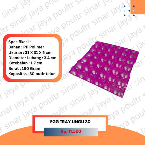 Jual Egg tray 30 ungu kuning / tempat taruh telur taro telur / egg tray ...