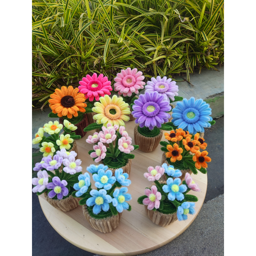 Jual Garbera Pastel - Pipe Cleaner Flower - Bunga Pot Kawat Bulu Mercy ...