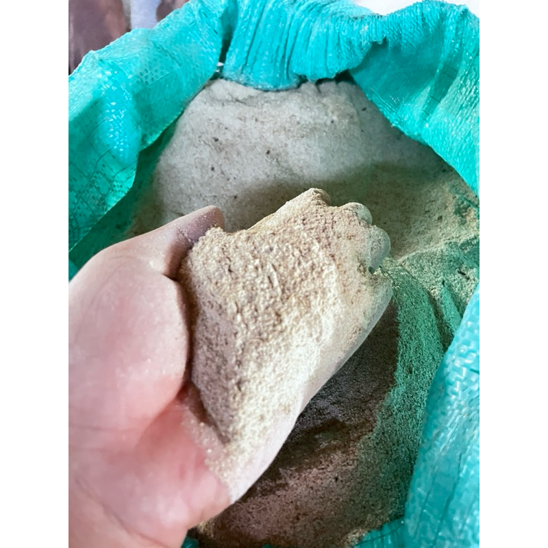 Jual DEDAK DEDEK BEKATUL KATUL DEDAK KATUL SUPER PAKAN UNGGAS 1KG ...
