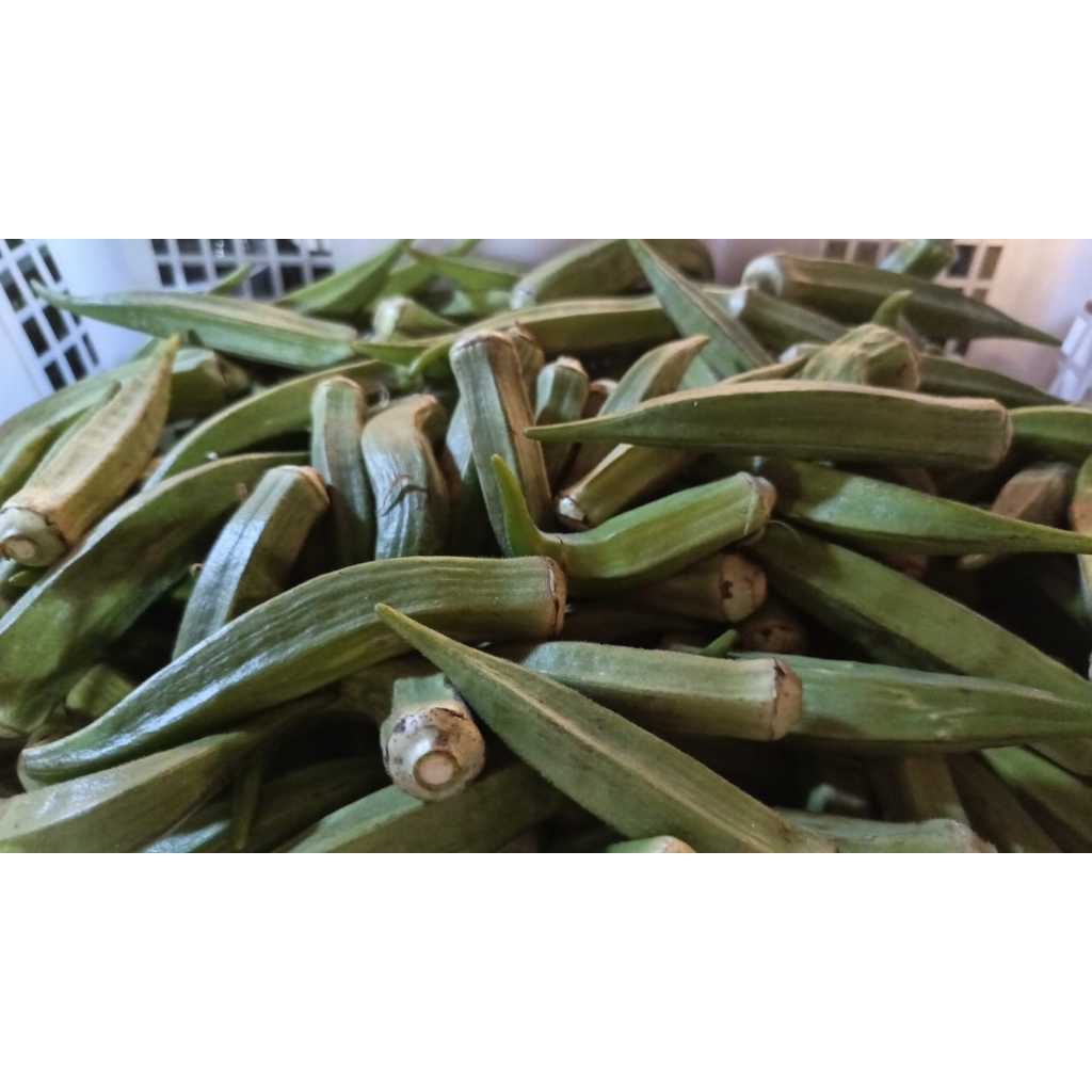 Jual Okra atau Bendi 1 kg | Shopee Indonesia