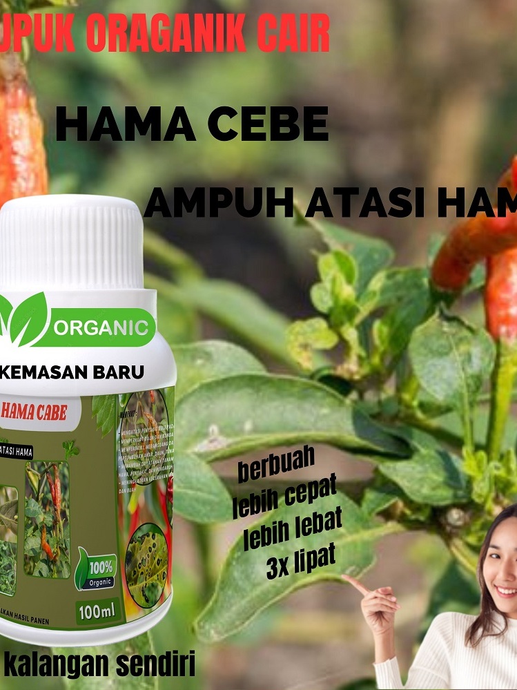 Jual Pupuk Cabe Obat cabe Anti Keriting Semprot Organik Anti Hama ...