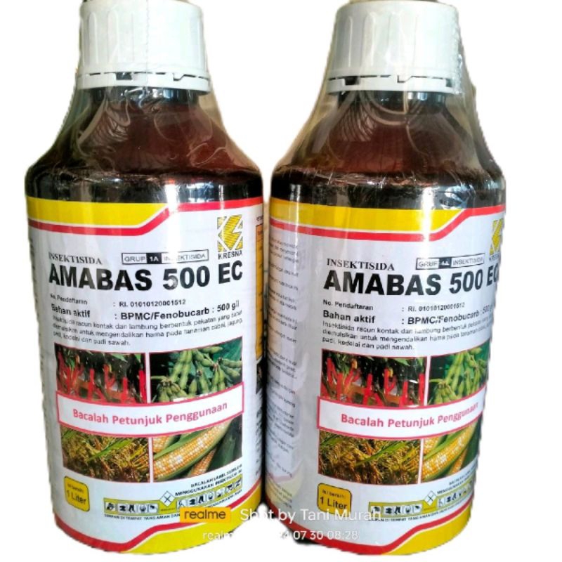 Jual MURAH 1 LITER AMABAS 500 EC FENOBUCARB. Basmi Kepinding tanah ...