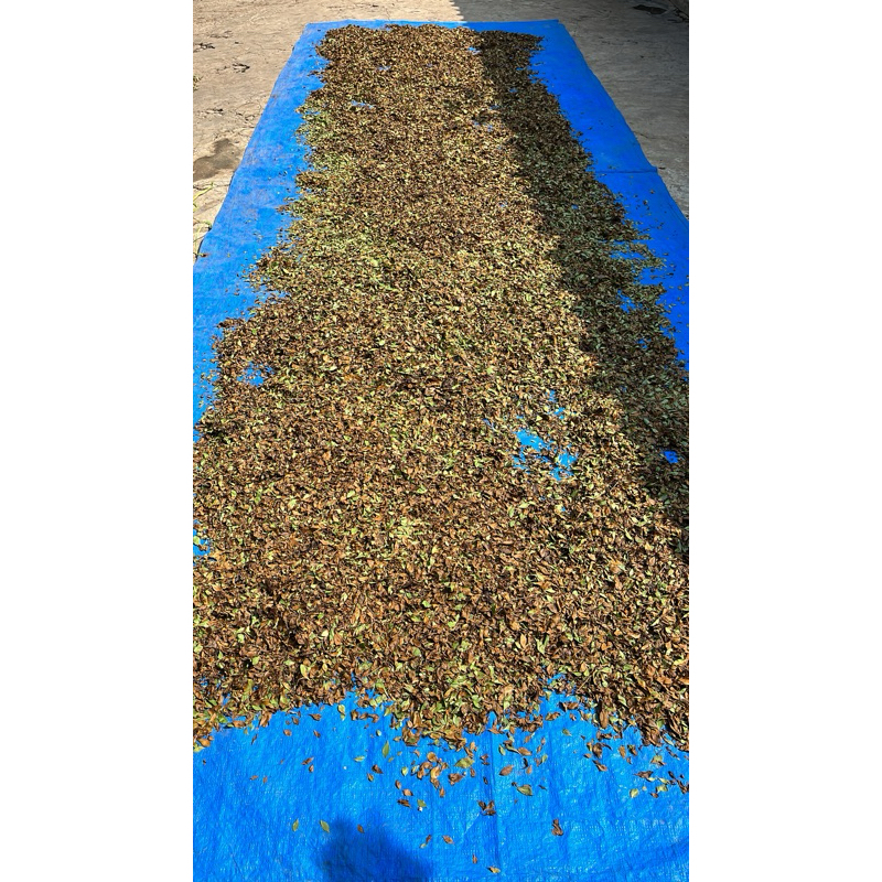 Jual promo 5 kg daun Henna kering | Shopee Indonesia