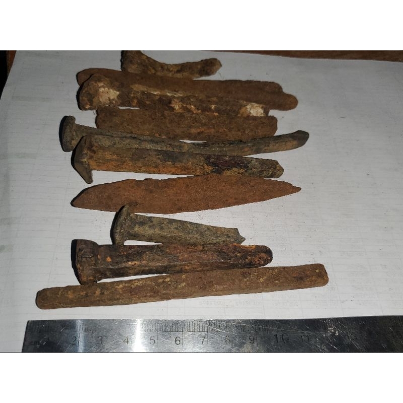 Jual paku kapal temuan sungai | Shopee Indonesia