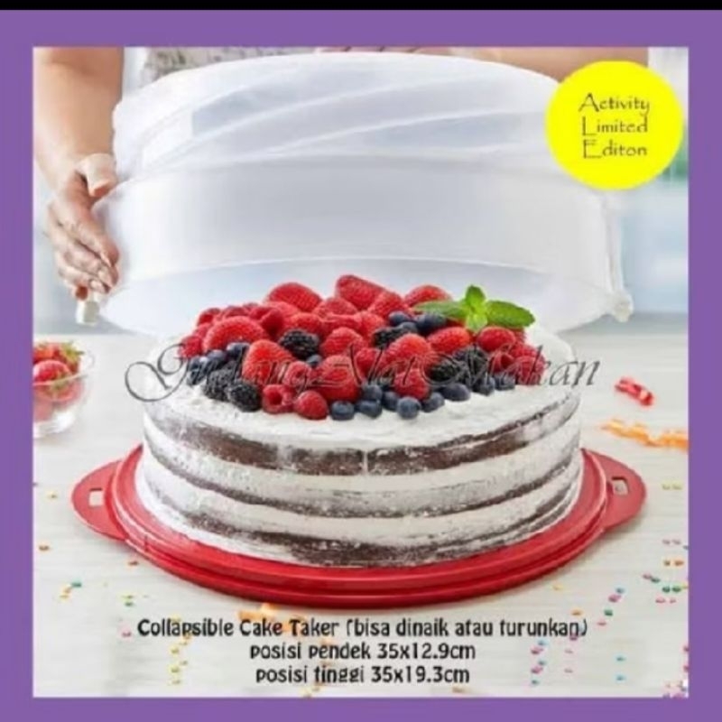 Jual Cake Taker Tupperware | Shopee Indonesia