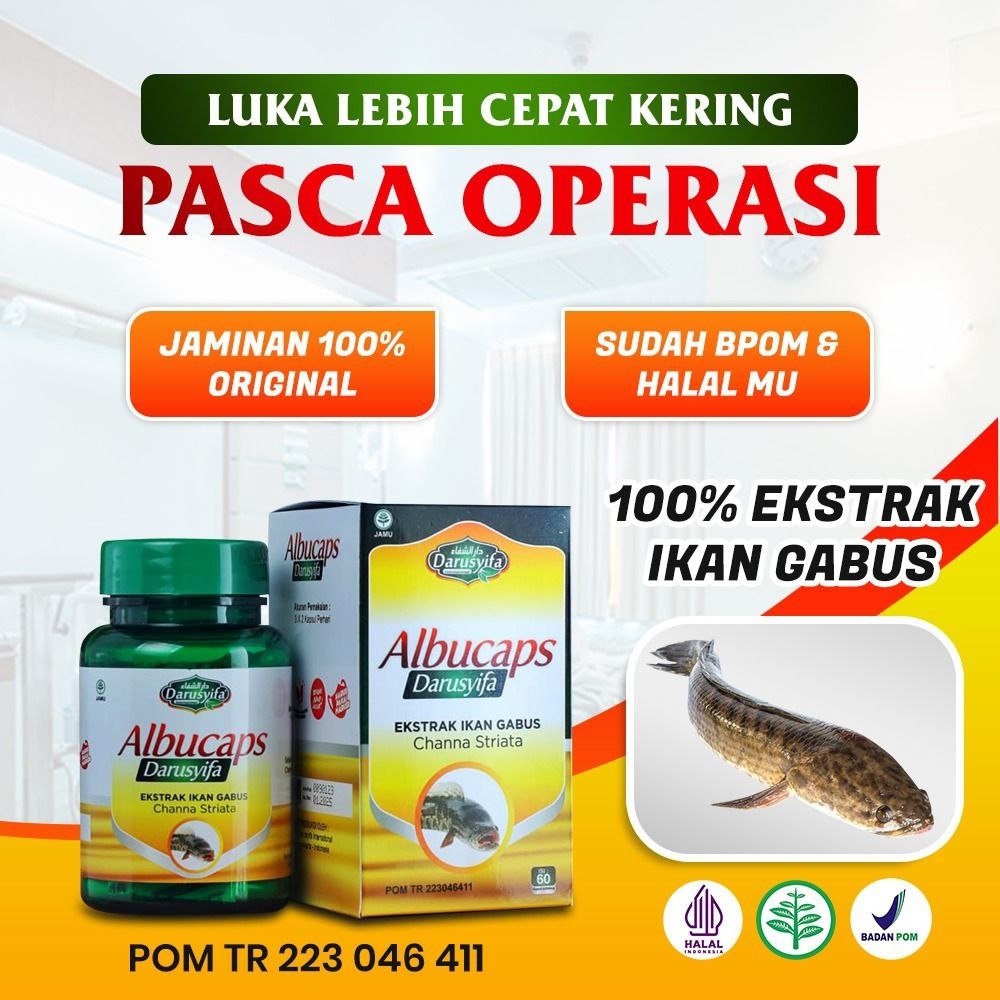 Jual ALBUCAPS DARUSYIFA Ekstrak Ikan Gabus plus 60 kapsul Pengering ... Jual ALBUCAPS DARUSYIFA Ekstrak Ikan Gabus plus 60 kapsul Pengering ...