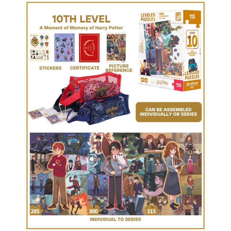 Jual TOI puzzle jigsaw Harry Potter a moment of memory level 10 puzzle ...