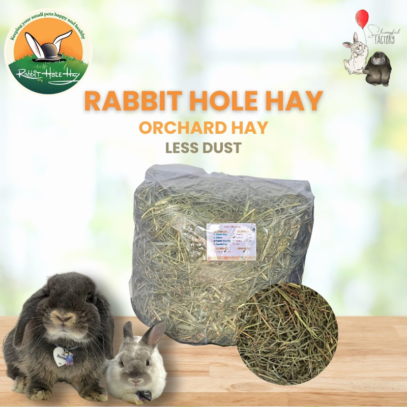 Jual Rabbit Hole Hay - Soft Orchard Hay Less Dust Rumput Hay Kelinci ...