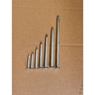 Jual Paku Beton Putih - Paku Tembok Dinding 1 Sampai 4 inch | Shopee Indonesia