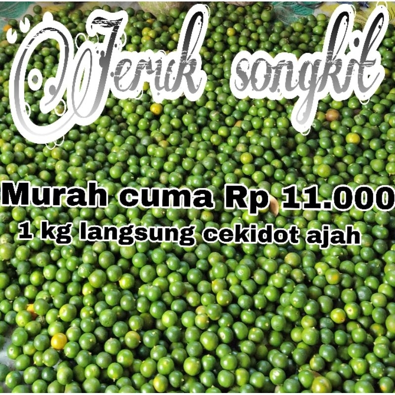Jual jeruk songkit 1 kg asli dari kebun RP 11000 | Shopee Indonesia