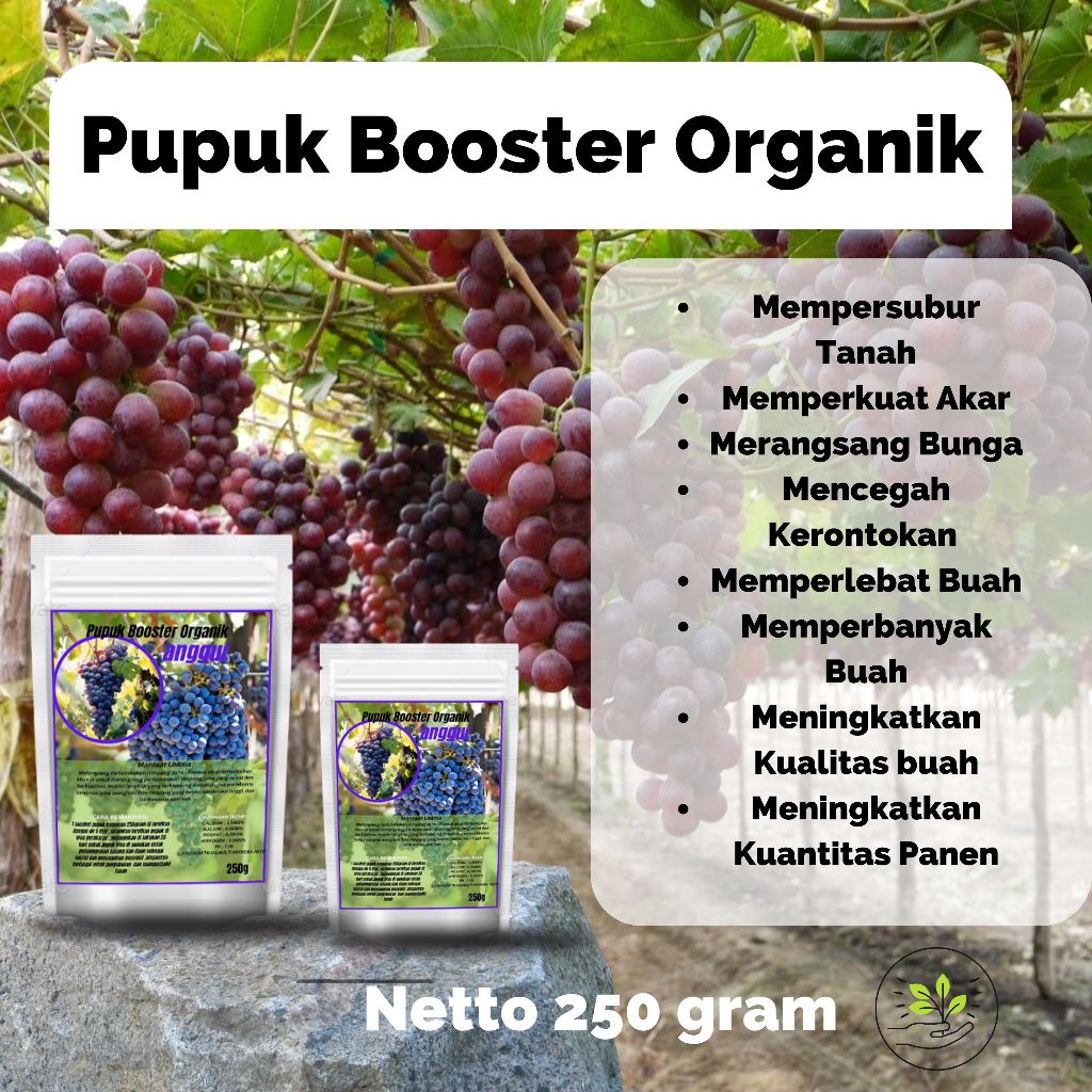 Jual pupuk anggur agar cepat berbuah lebat booster organik untuk tanaman anggur | Shopee Indonesia