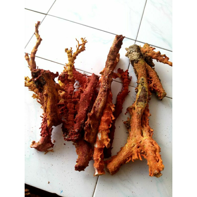 Jual MENTAHAN BATU MARJAN ASLI 1KG | Shopee Indonesia
