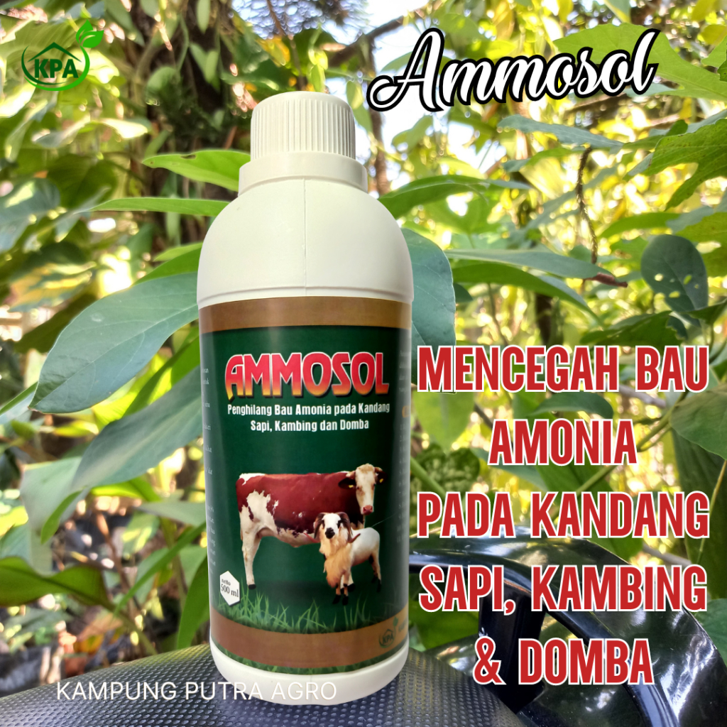 Jual Obat Pencegah Bau Amonia Sapi , Domba dan Babi - Menghilangkan Bau Amonia dan Kotoran ...