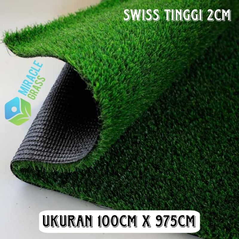 Jual Karpet Rumput Sintetis - Swiss 2cm - Ukuran 100cm x 975cm - Karpet ...