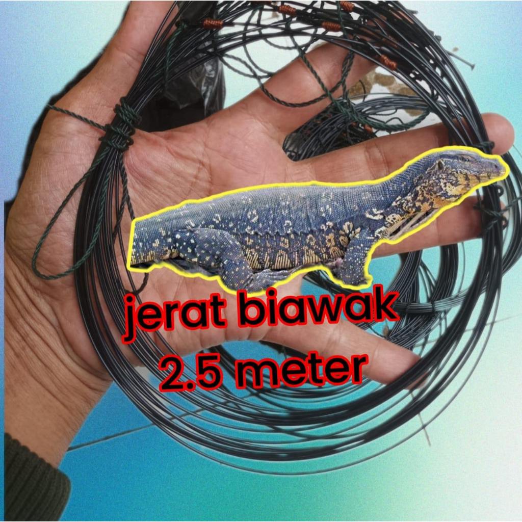 Jual RACIK BIAWAK 1 IKAT PANJANG 2.5 METER - RACIK BIAWAK - JERAT ...