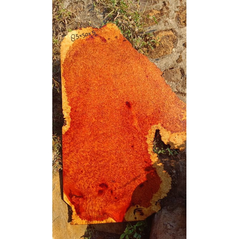 Jual kayu Burl Amboyna | Shopee Indonesia