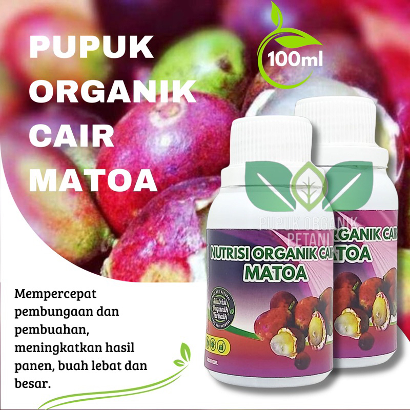 Jual Pupuk organik penyubur buah matoa cepat berbunga dan berbuah lebat tidak mudah rontok ...