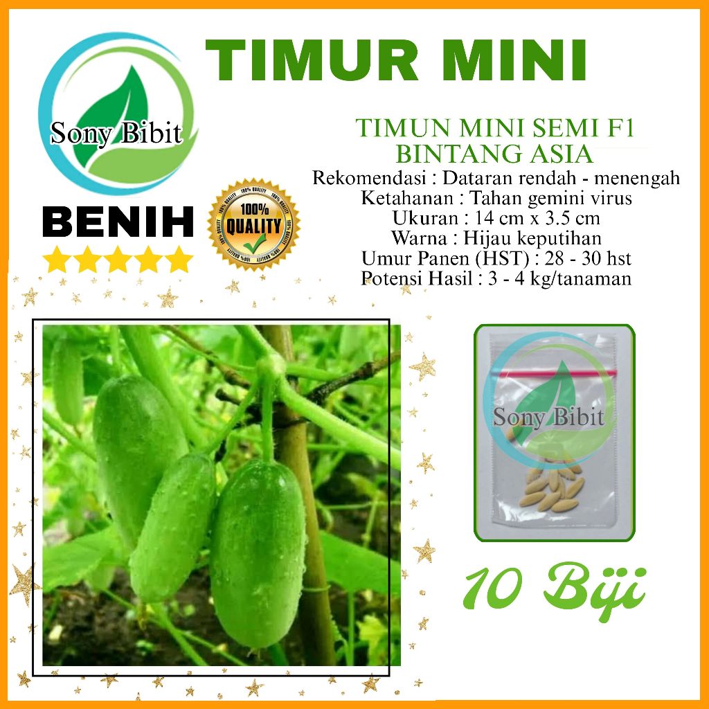 Jual 10 Benih Timun Mini Semi F1 Hibrida Benih Bintang Asia Benih ...