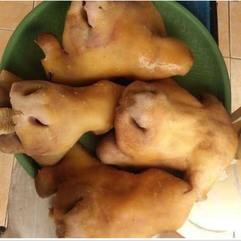 Jual CINGUR SAPI | Shopee Indonesia