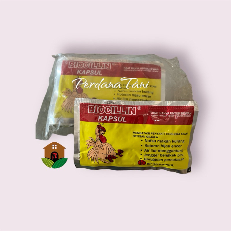 Jual Biocilin / 10 kapsul / 1 pcs | Shopee Indonesia