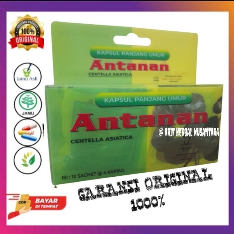 Jual Kapsul Antanan Original 100% | Herbal Asam Urat Dan Reumatik ...