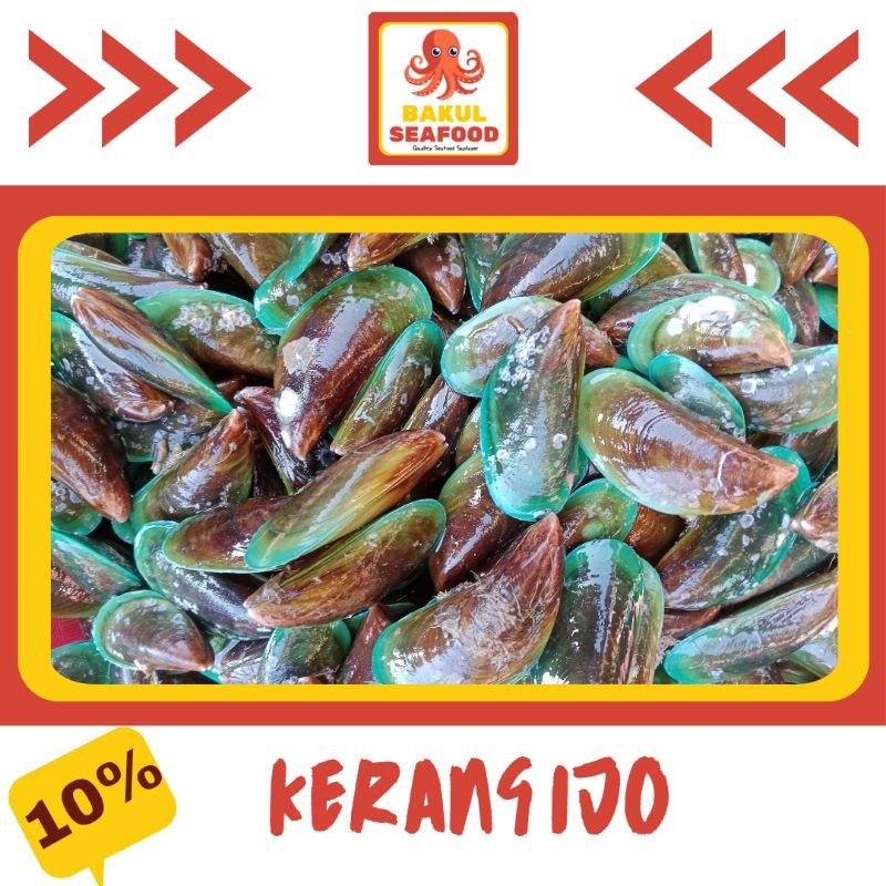 Jual KERANG IJO/HIJAU 500GR-1000GR | Shopee Indonesia