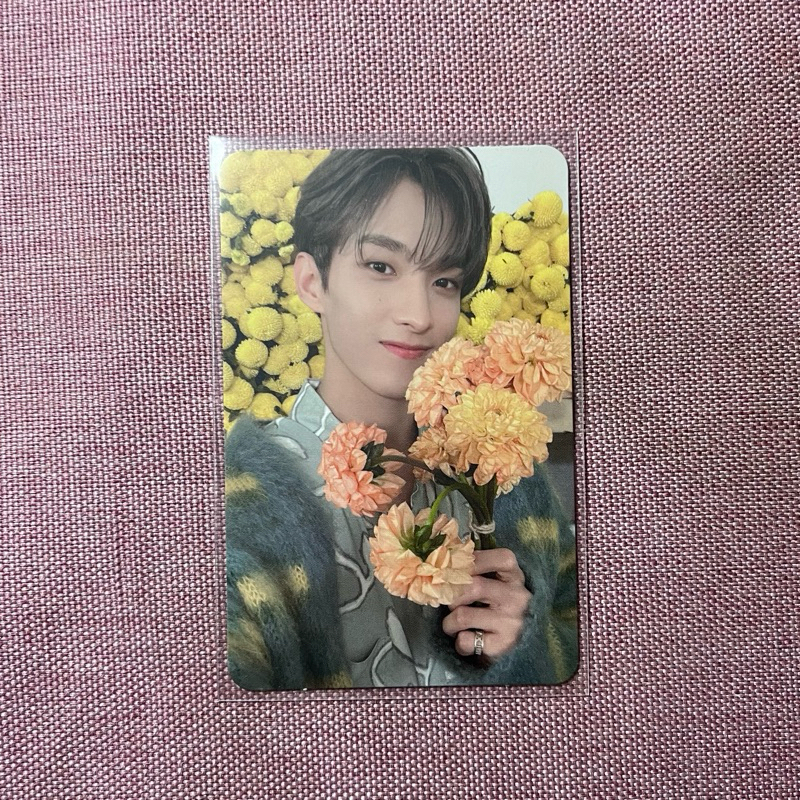 Jual PC Seventeen SVT Dokyeom DK Scoups FTS Heaven The Name Odd ...