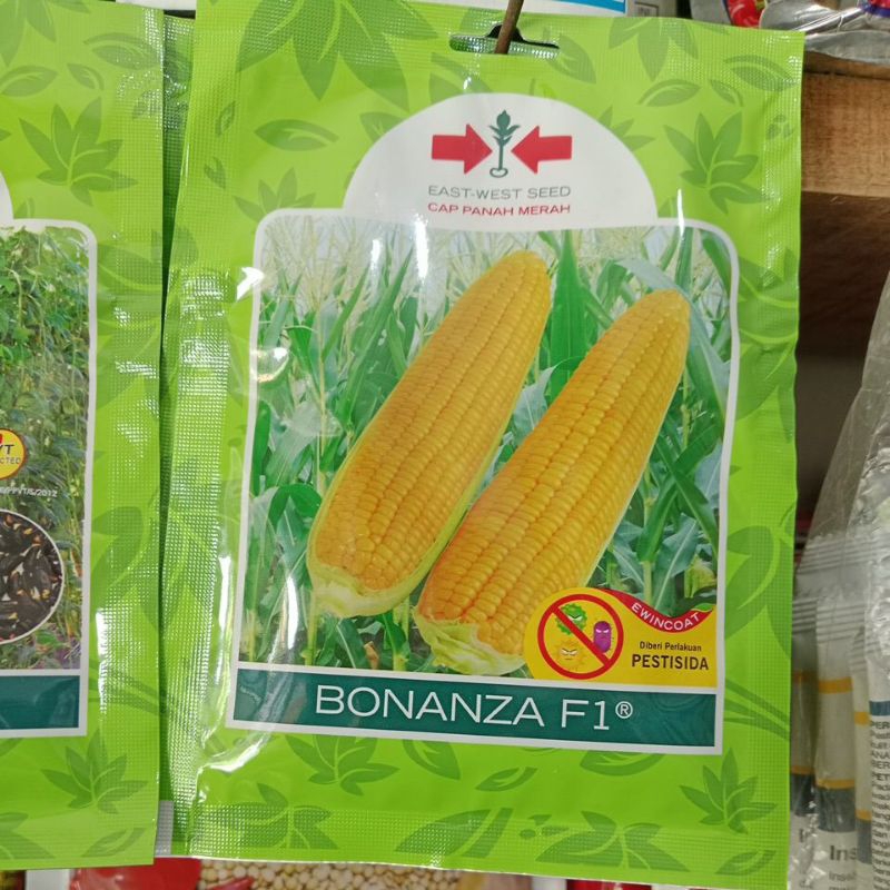 Jual BONANZA F1 | Shopee Indonesia