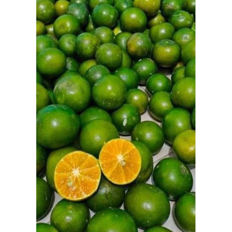 Jual Jeruk es jeruk peras 1 kg | Shopee Indonesia