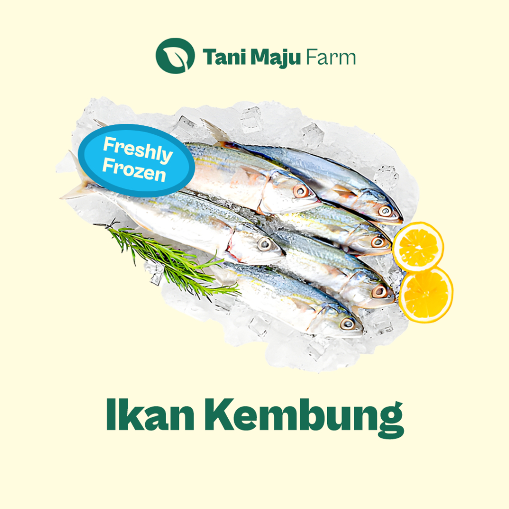 Jual Ikan Kembung Banjar Banyar Gombong Fresh (500 gram) - Seafood ...