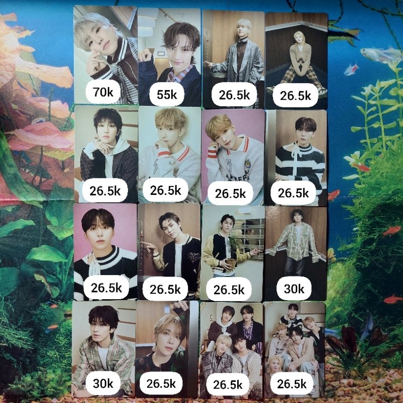 Jual TRADING CARD TC SEVENTEEN CARATLAND 2024 HOSHI JUN SELCA WOOZI ...