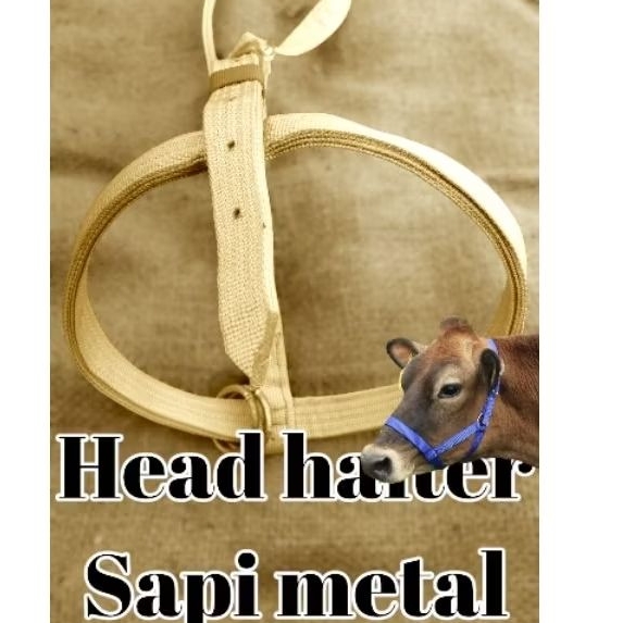 Jual HEAD HALTER SUPER DOBEL TALI BRANGUS BACOK SABUK IKAT KEPALA SAPI ...