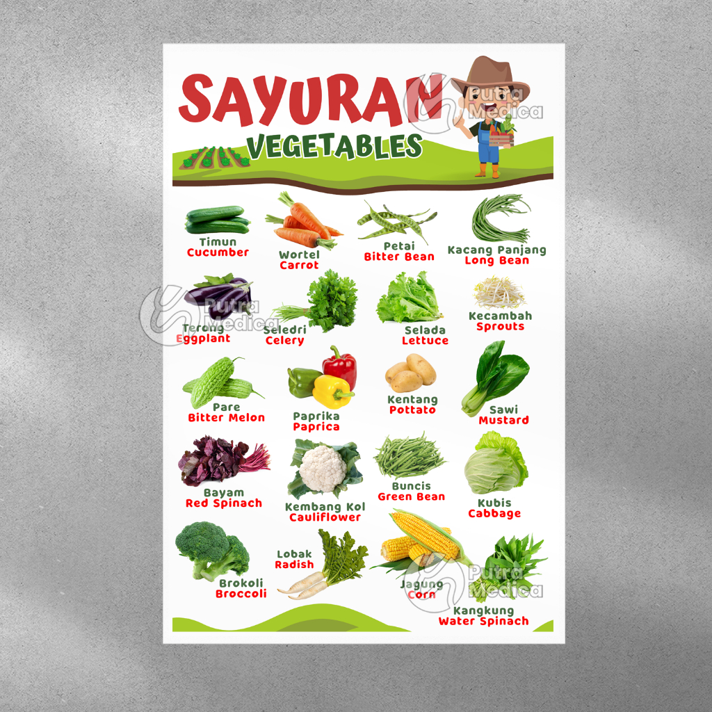 Jual Poster Mengenal Sayuran A3+ / Gambar Edukasi Anak / Belajar Sayur ...