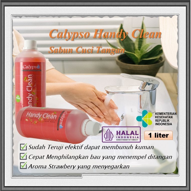 Jual Calypso Handwash Cleaner Sabun Cuci Tangan Antiseptik ...