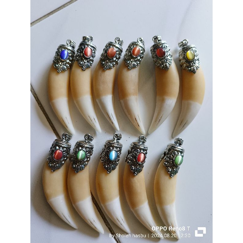 Jual replika taring harimau | Shopee Indonesia