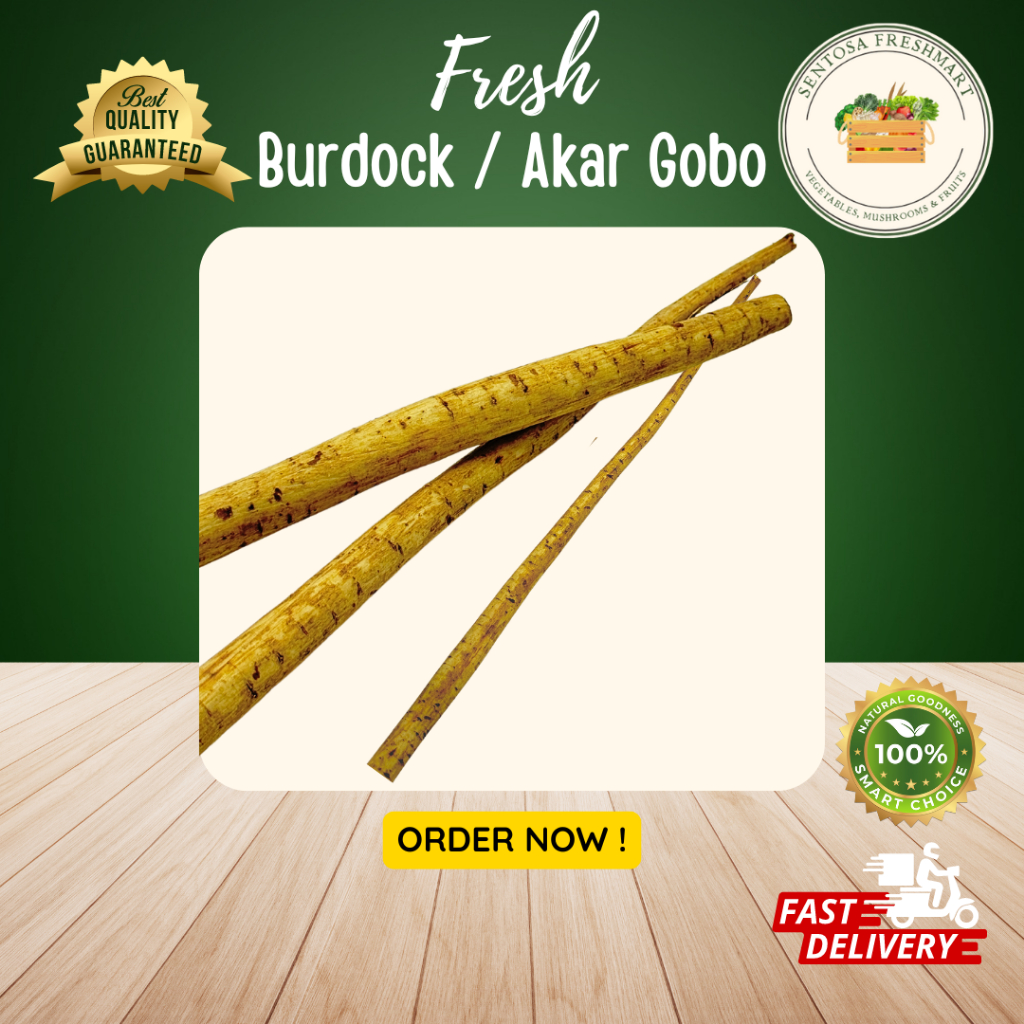 Jual [SENTOSA FRESHMART] BURDOCK (AKAR GOBO/AKAR KETELA JEPANG) per KG ...