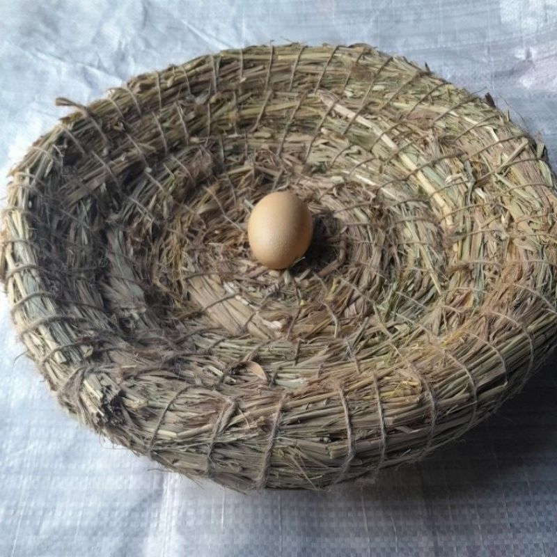 Jual tarangan ayam tempat bertelur ayam bahan jerami tempat ngendog ...