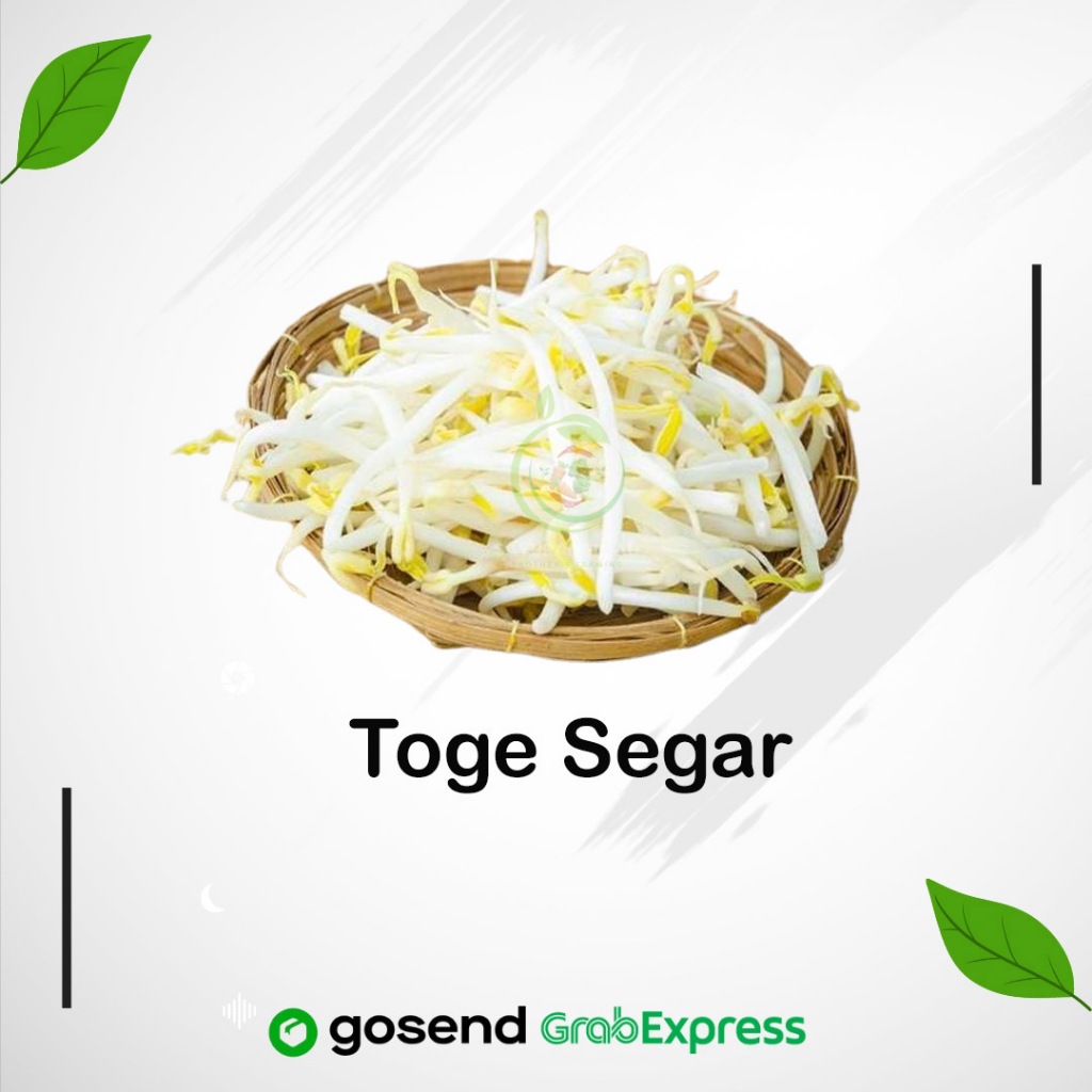 Jual Toge Segar | Sayur Toge | Tauge Kedelai 500gr | Shopee Indonesia