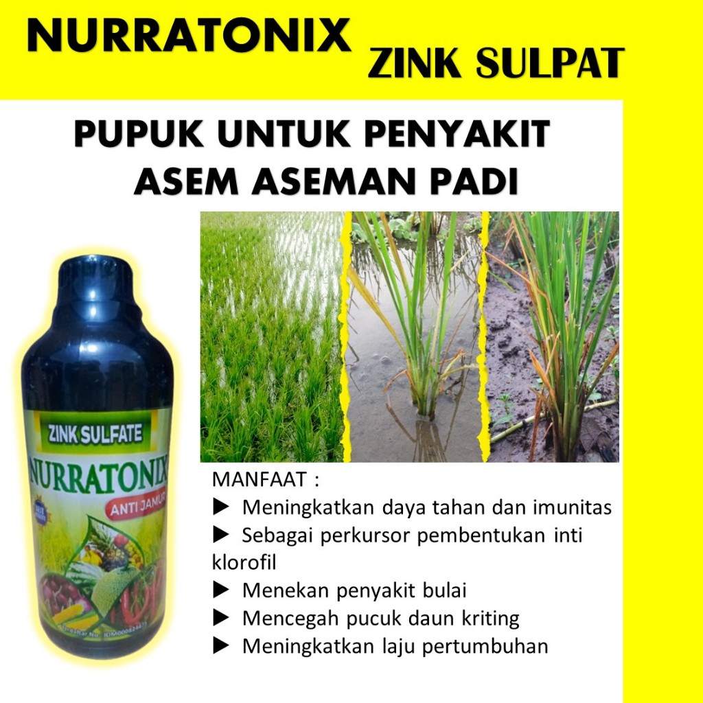 Jual PUPUK PADI ASEM ASEMAN ZINK NURRATONIK 500ML Obat Semprot Asem ...