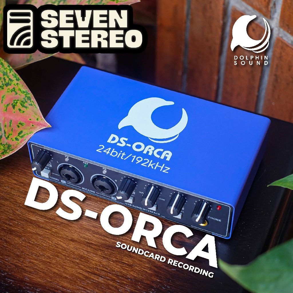 Jual Dolphin Sound DS ORCA MK2 MK3 Soundcard Recording | Shopee Indonesia