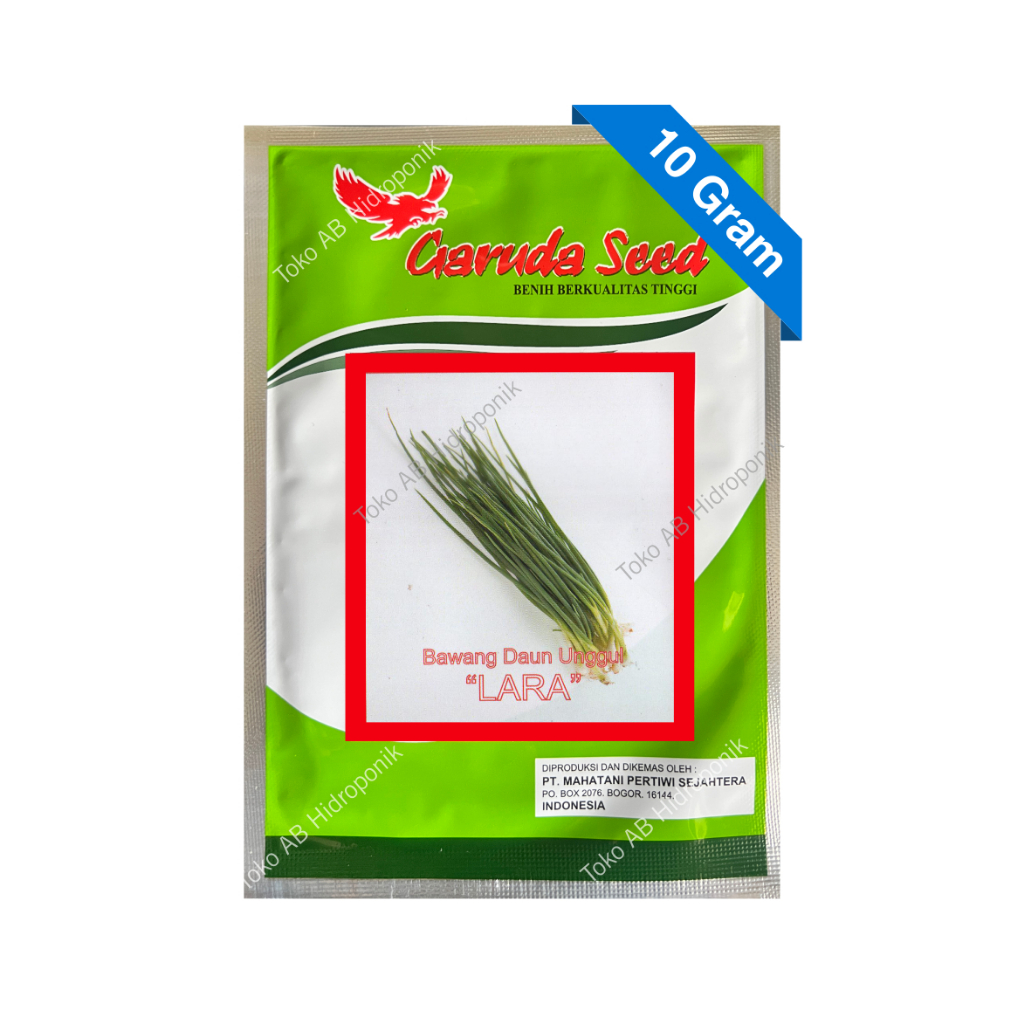 Jual 10 Gram - Benih Daun Bawang Lara / Bakung / Loncang Unggul Garuda ...
