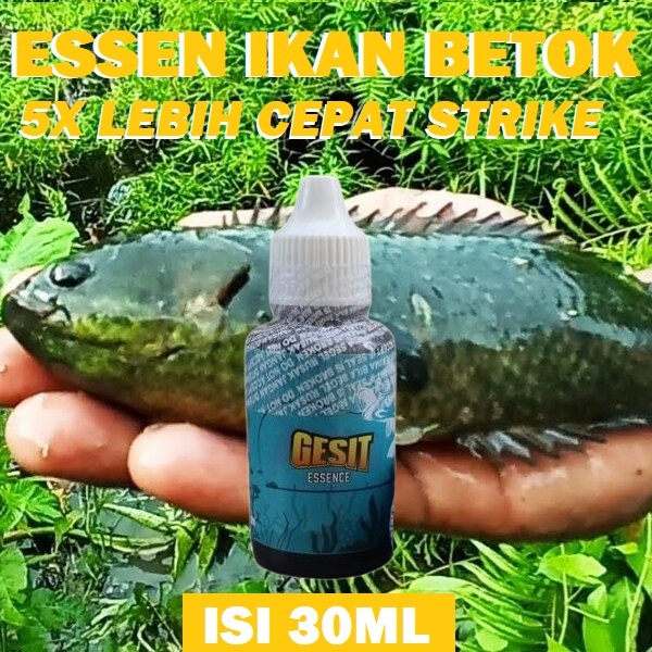 Jual GESIT ESSEN IKAN BETOK UMPAN CACING PELET SIAP PAKAI ISI 30ML ...