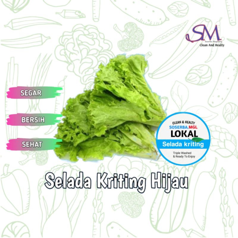 Jual Selada Kriting Hijau Lokal | Shopee Indonesia